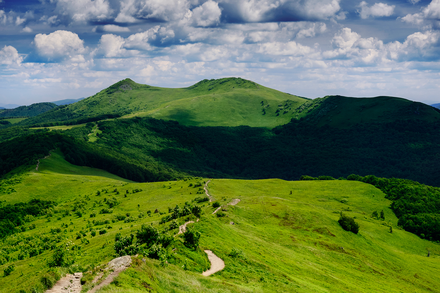 Bieszczady - Połonina Wetlińska