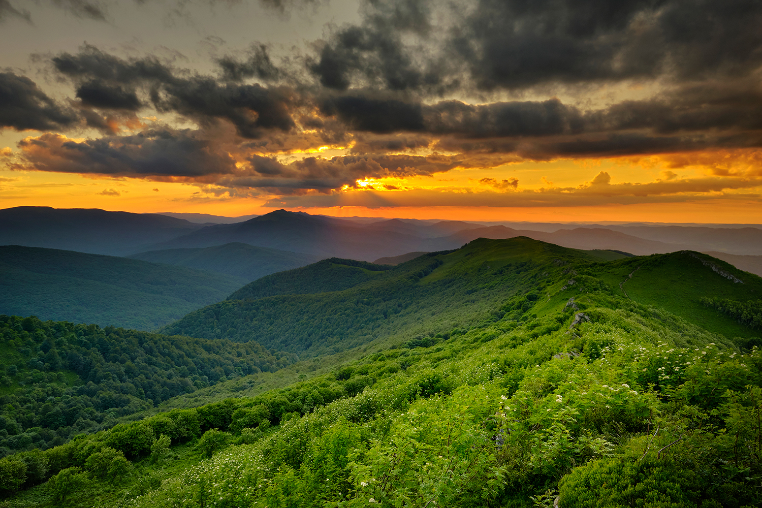 Bieszczady - Bukowe Berdo - czerwone niebo